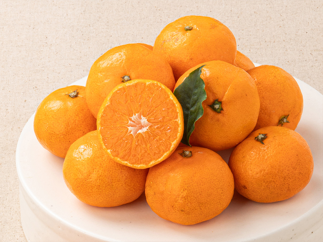 초록마을 :: 나와 가장 가까운 유기농친환경 마켓